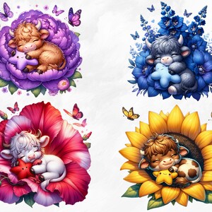 Watercolor Sleeping Baby Highland Cow Clipart, 24 PNG Cute Cow Clipart ...