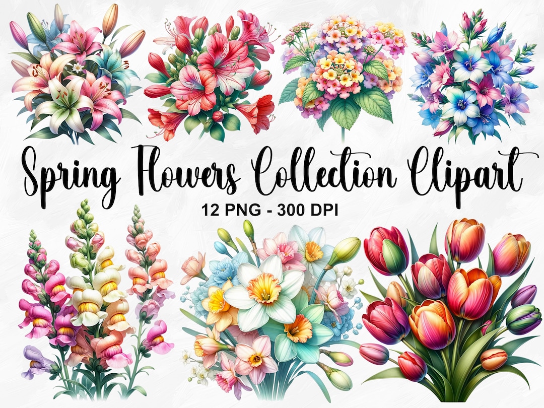 Watercolor Spring Flowers Clipart, 12 PNG Floral Clipart, Spring Floral ...