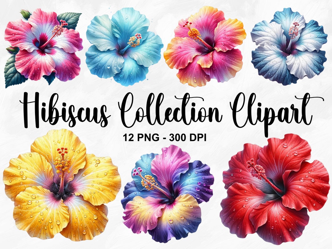 Watercolor Hibiscus Collection Clipart, 12 PNG Tropical Flower Clipart ...
