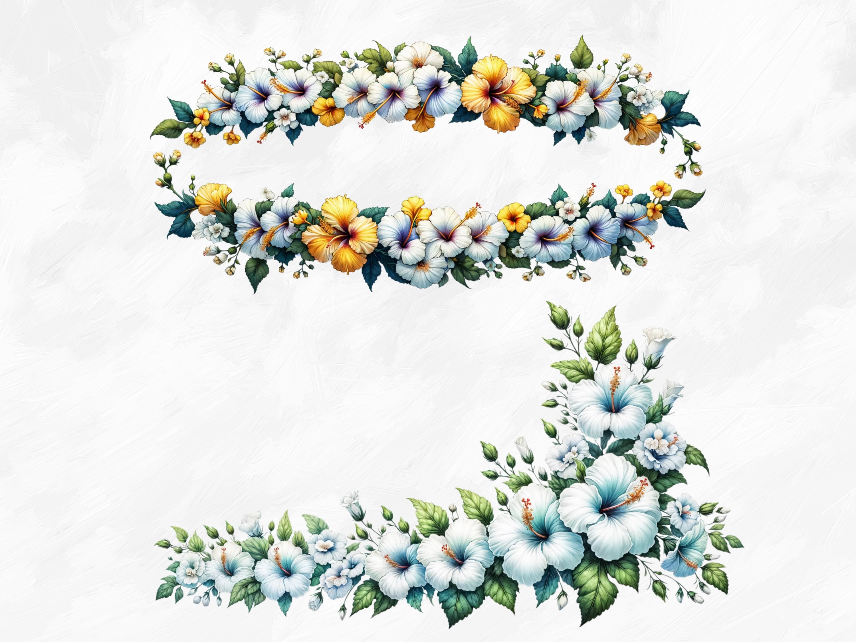 Watercolor Hibiscus Flower Borders Clipart, 12 PNG Summer Flowers ...