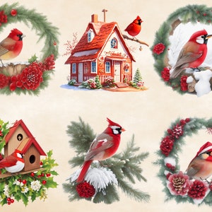 Watercolor Red Cardinal Clipart, 26 PNG Christmas Red Cardinal Clipart ...