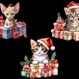 Watercolor Christmas Kitten Clipart, 16 PNG Christmas Kitten Clip Art ...