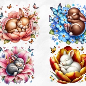 Watercolor Sleeping Baby Bunny Clipart, 18 PNG Bunny Graphics Clipart ...