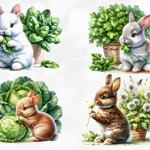 Watercolor Bunny With Food Collection Clipart, 20 PNG Bunny Clipart ...