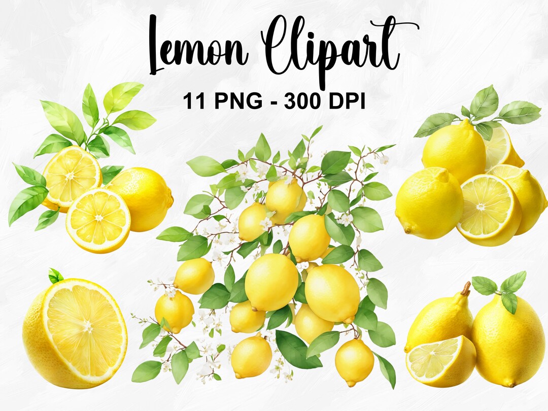 Watercolor Lemon Clipart, 11 PNG Lemons Clipart, Fruit Clipart, Citrus ...