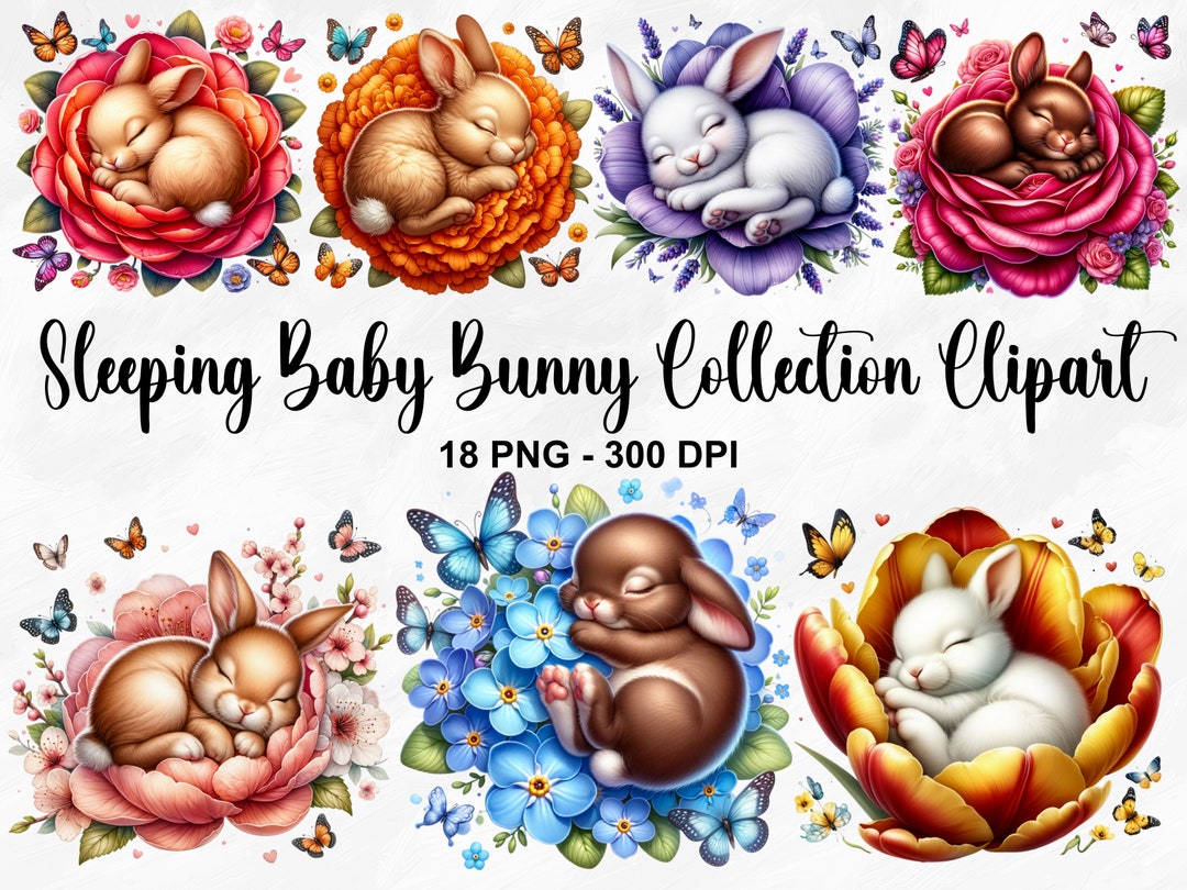 Watercolor Sleeping Baby Bunny Clipart, 18 PNG Bunny Graphics Clipart ...