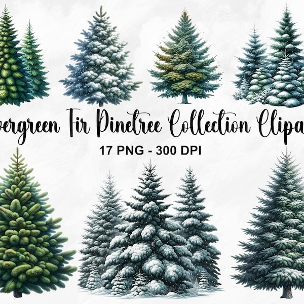 Christmas Evergreen Clipart - Etsy