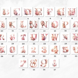 Watercolor Floral Alphabet Collection Clipart, 37 PNG Pink Alphabet ...