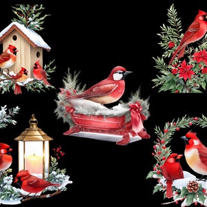 Watercolor Red Cardinal Clipart, 26 PNG Christmas Red Cardinal Clipart ...