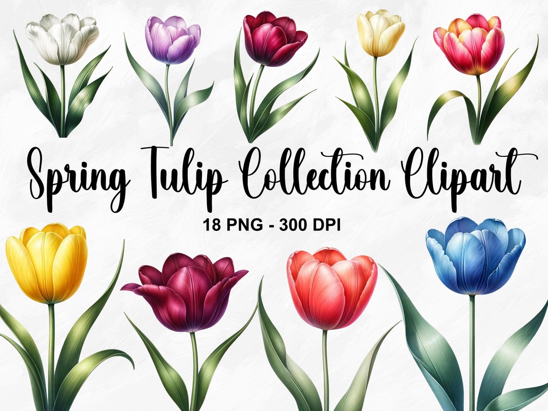 Watercolor Spring Tulip Collection Clipart, 18 PNG Flowers Clipart ...
