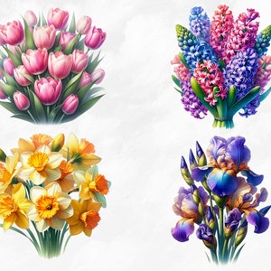 Watercolor Spring Flower Collection Clipart, 25 PNG Floral Clipart ...