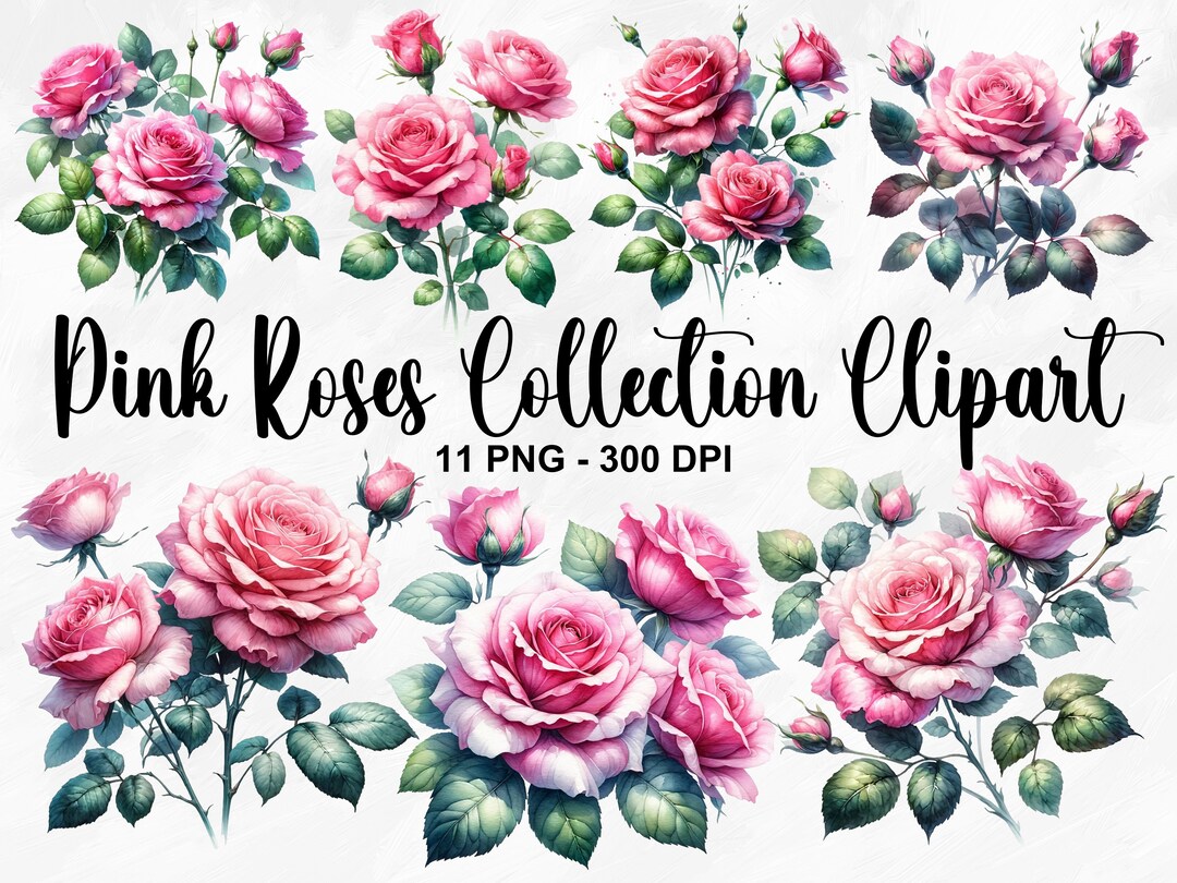 Watercolor Pink Roses Collection Clipart, 11 PNG Floral Clipart, Spring ...