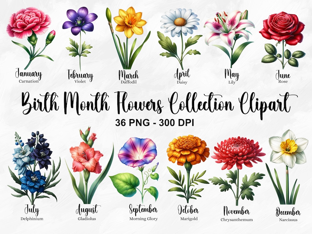 Watercolor Birth Month Flowers Clipart, 36 PNG Birth Month Flower ...