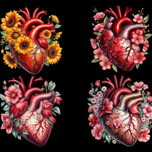 Watercolor Anatomical Valentines Heart Clipart, 18 PNG Valentines Day ...