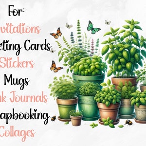 Watercolor Spring Garden Collection Clipart, 11 PNG Spring Floral ...