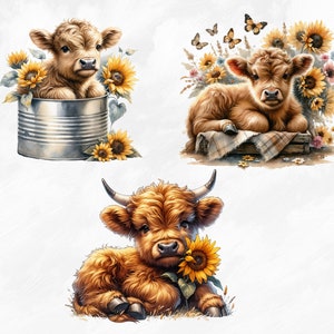 Watercolor Spring Highland Cow Clipart, 11 PNG Cow Print Clipart, Baby ...