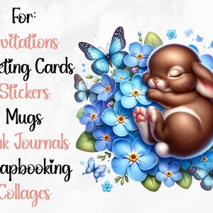 Watercolor Sleeping Baby Bunny Clipart, 18 PNG Bunny Graphics Clipart ...