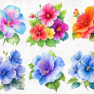 Watercolor Hibiscus Flowers Clipart, 30 PNG Hibiscus Clip Art, Hawaiian ...