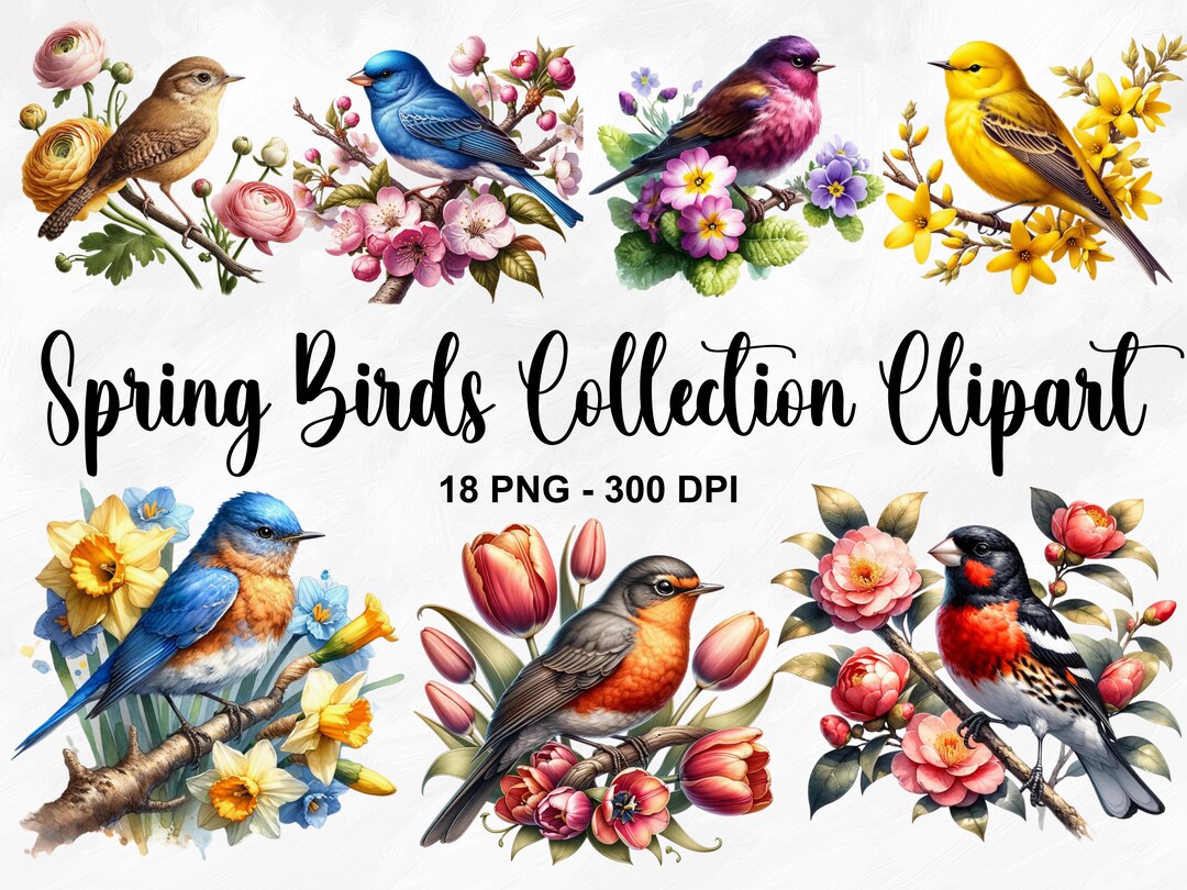 Watercolor Spring Birds Collection Clipart, 18 PNG Birds Clipart ...
