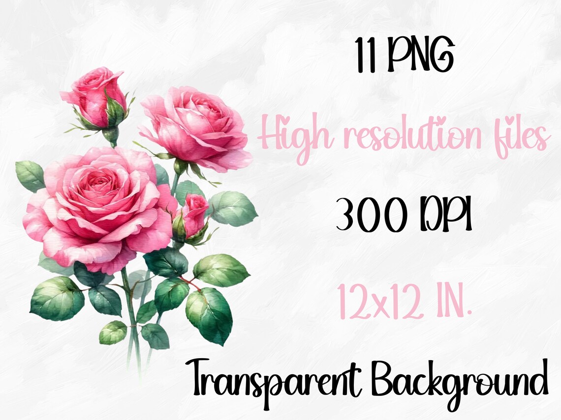 Watercolor Pink Roses Collection Clipart, 11 PNG Floral Clipart, Spring ...