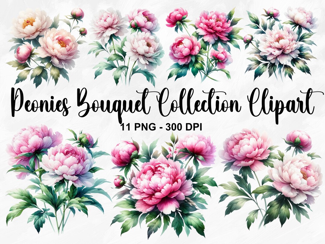 Watercolor Peonies Bouquet Collection Clipart, 11 PNG Pink Peony ...