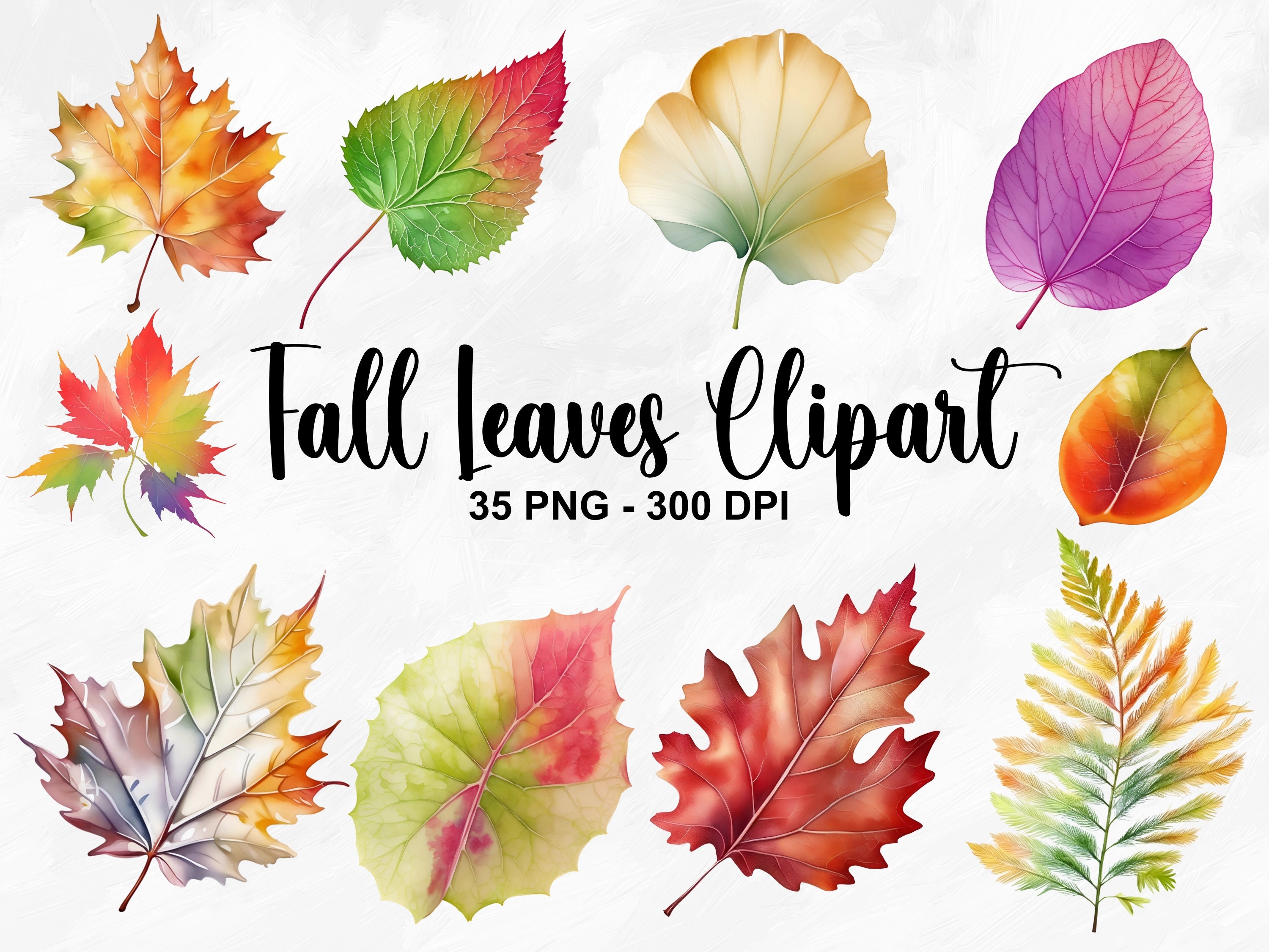 Watercolor Fall Leaves Clipart 35 PNG Autumn Leaf Clipart - Etsy