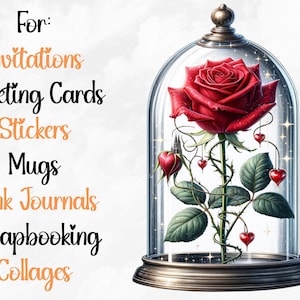 Watercolor Romantic Roses Collection Clipart, 16 PNG Valentines Day ...