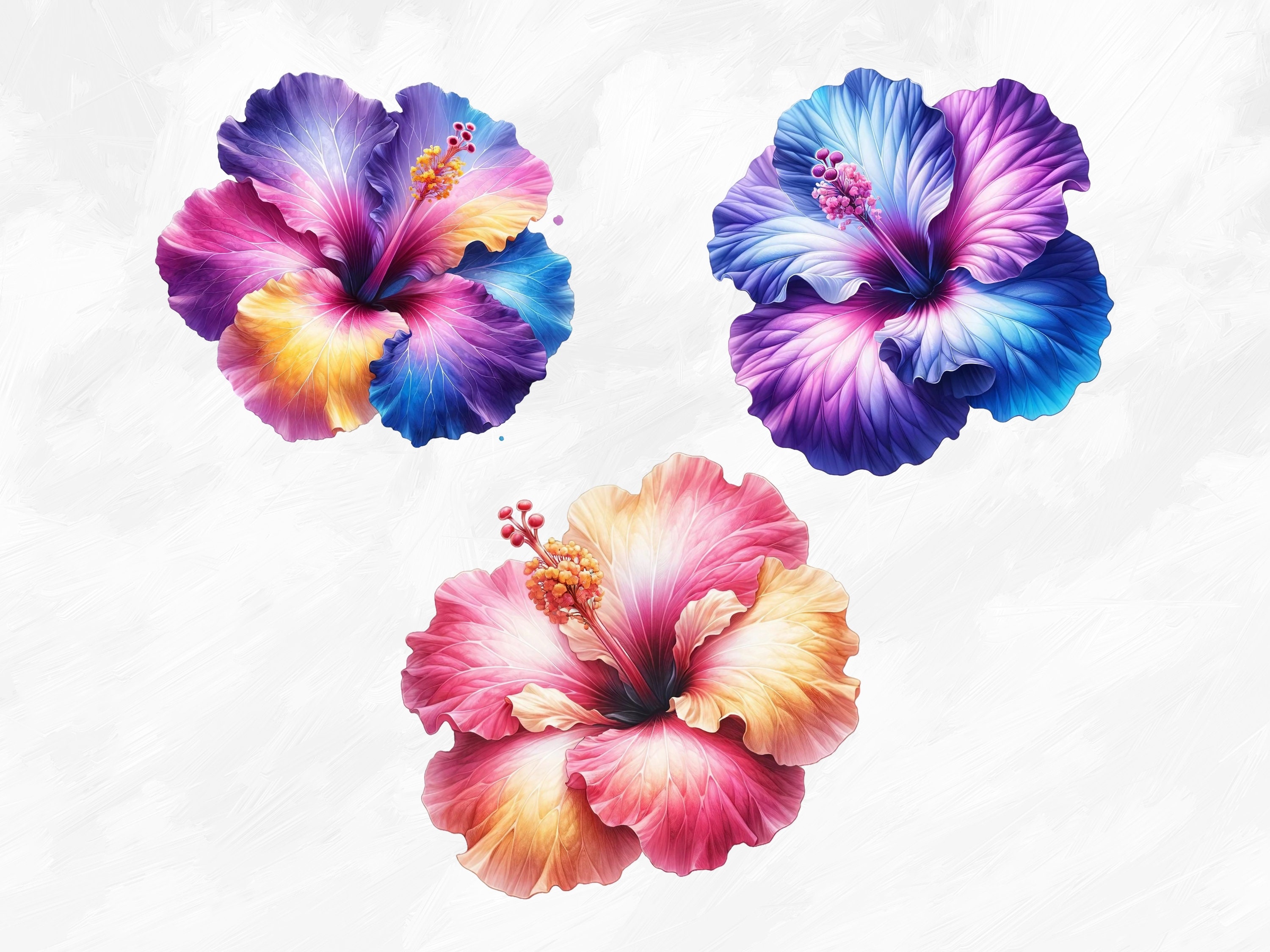 Watercolor Hibiscus Flowers Collection Clipart, 12 PNG Summer Flowers ...