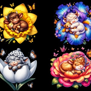 Watercolor Sleeping Baby Highland Cow Clipart, 24 PNG Cute Cow Clipart ...