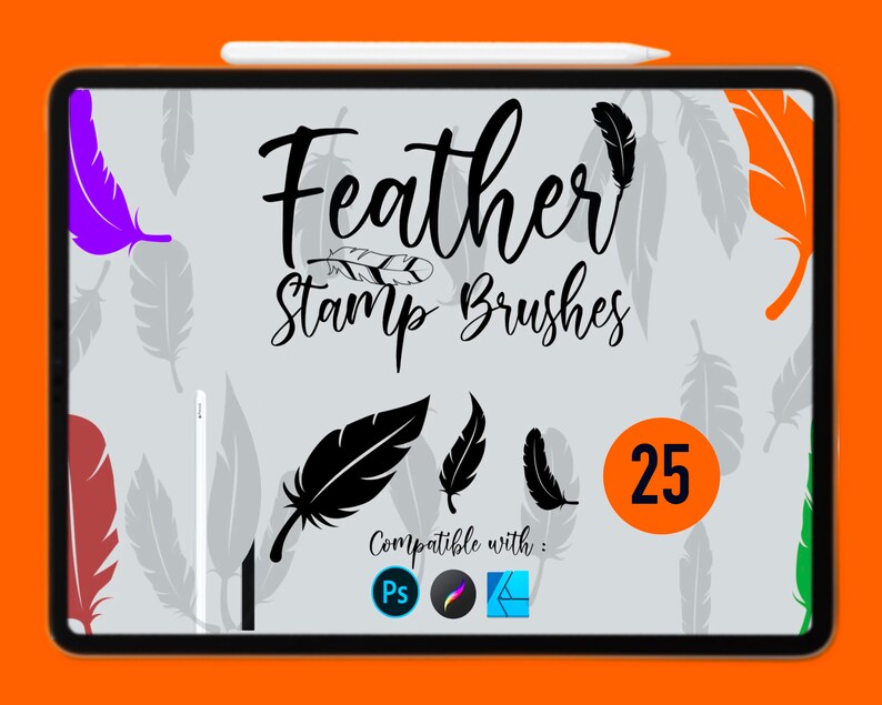 Feathers Brushes for Procreate Feather Affinity Designer - Etsy