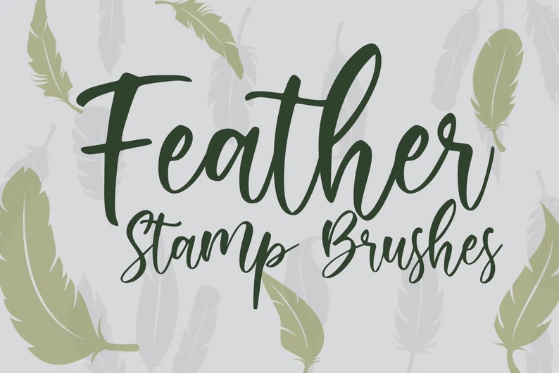 Feathers Brushes for Procreate Feather Affinity Designer - Etsy