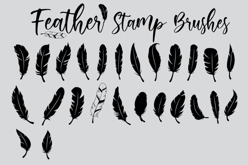 Feathers Brushes for Procreate Feather Affinity Designer - Etsy