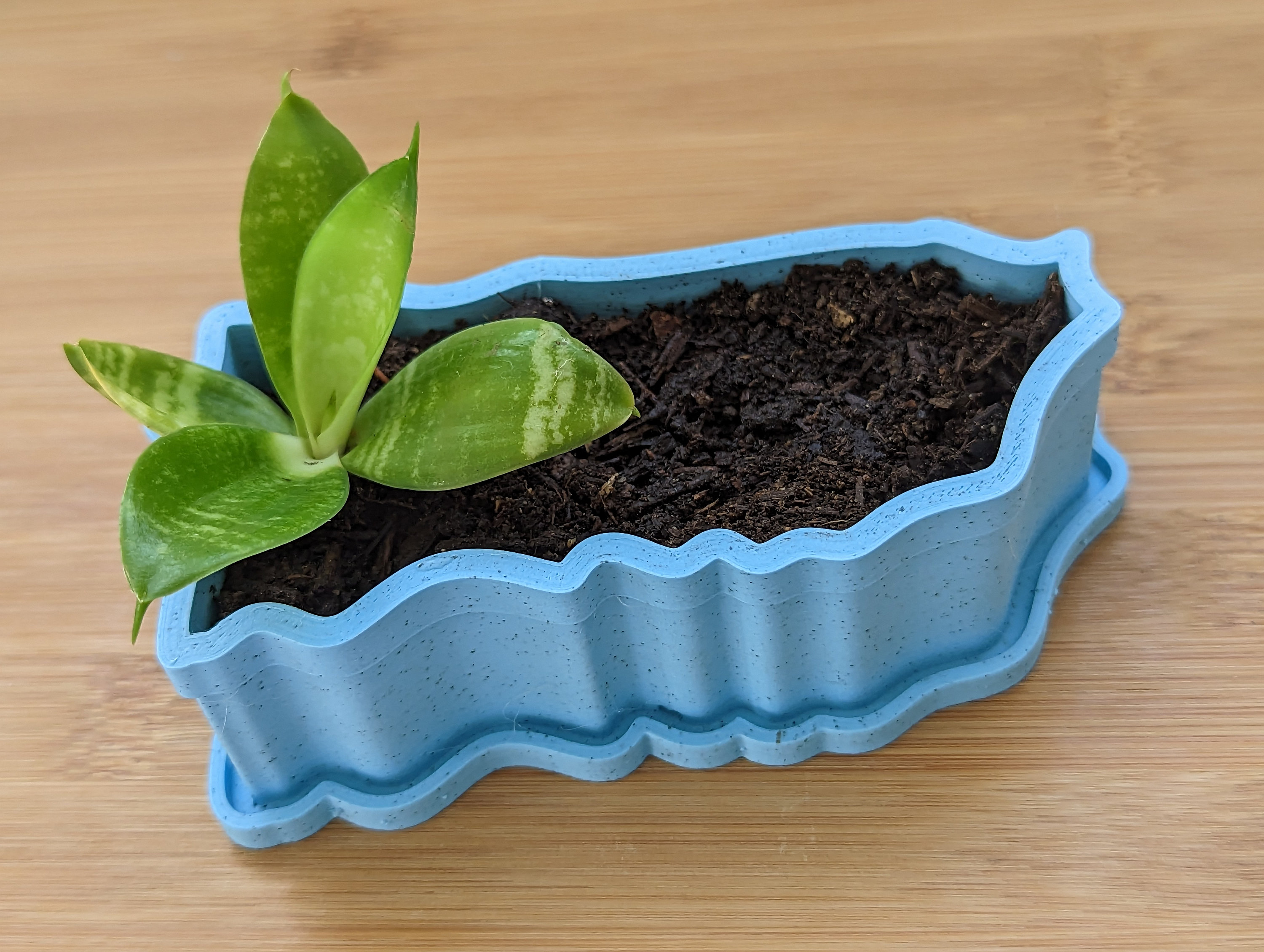 Planter Indoor Desk Plant Pot 3D PRINTED Puerto Rico Planter Indoor 3D ...