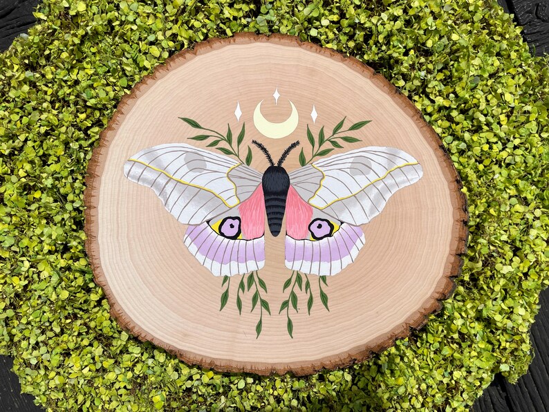 Automeris Frankae Moth Wood Painting - Etsy