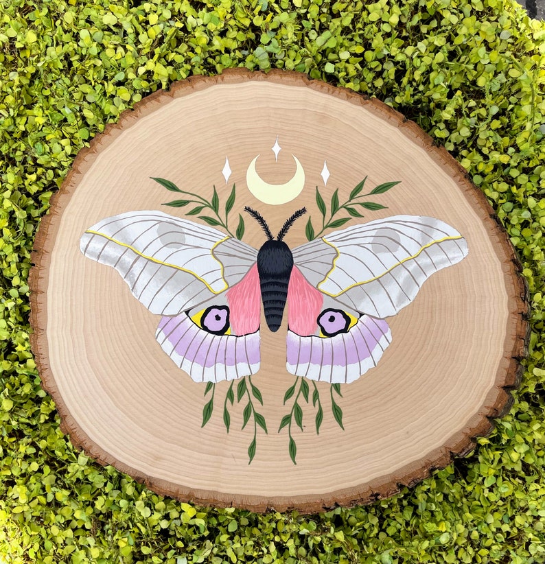Automeris Frankae Moth Wood Painting - Etsy