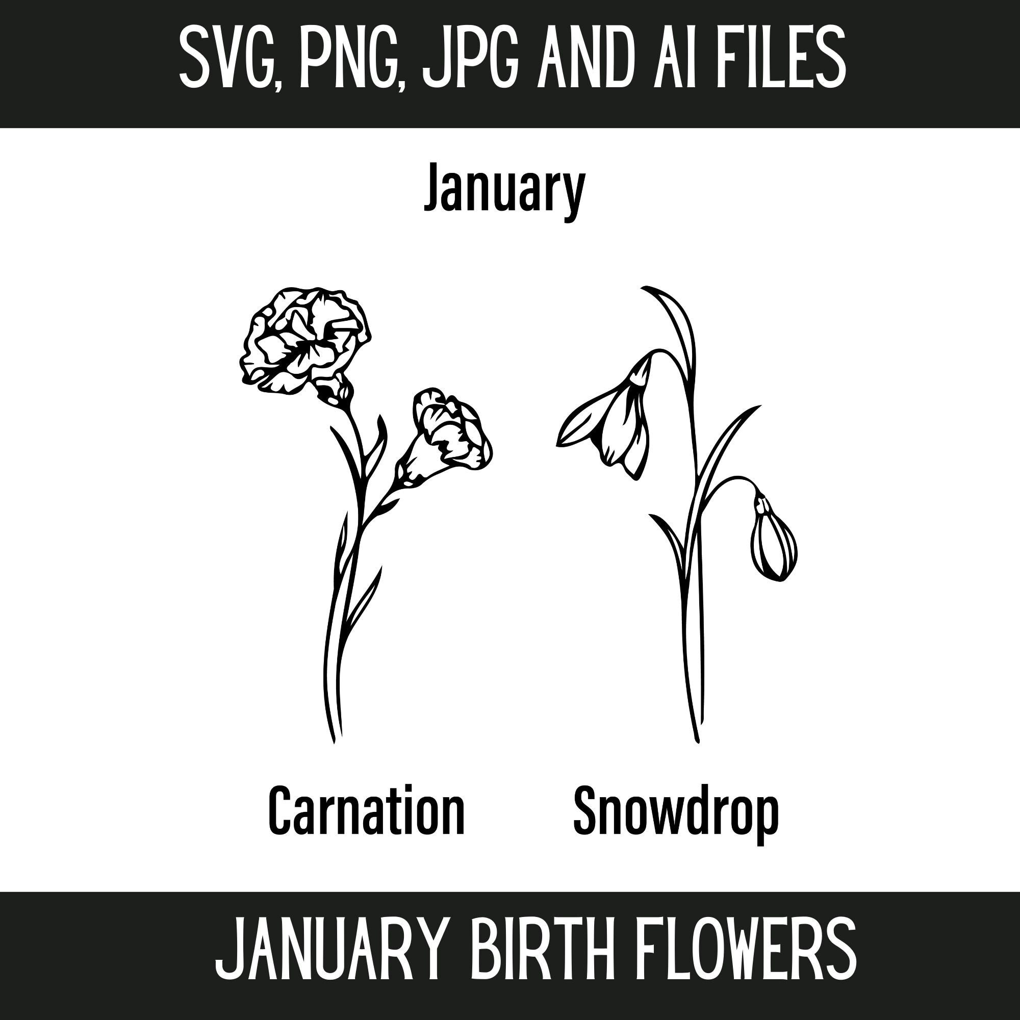 Birth Flowers SVG January Bloom Sign Seasonal Floral Herbal - Etsy