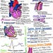 Nursing Cheat Sheets PDF - Etsy