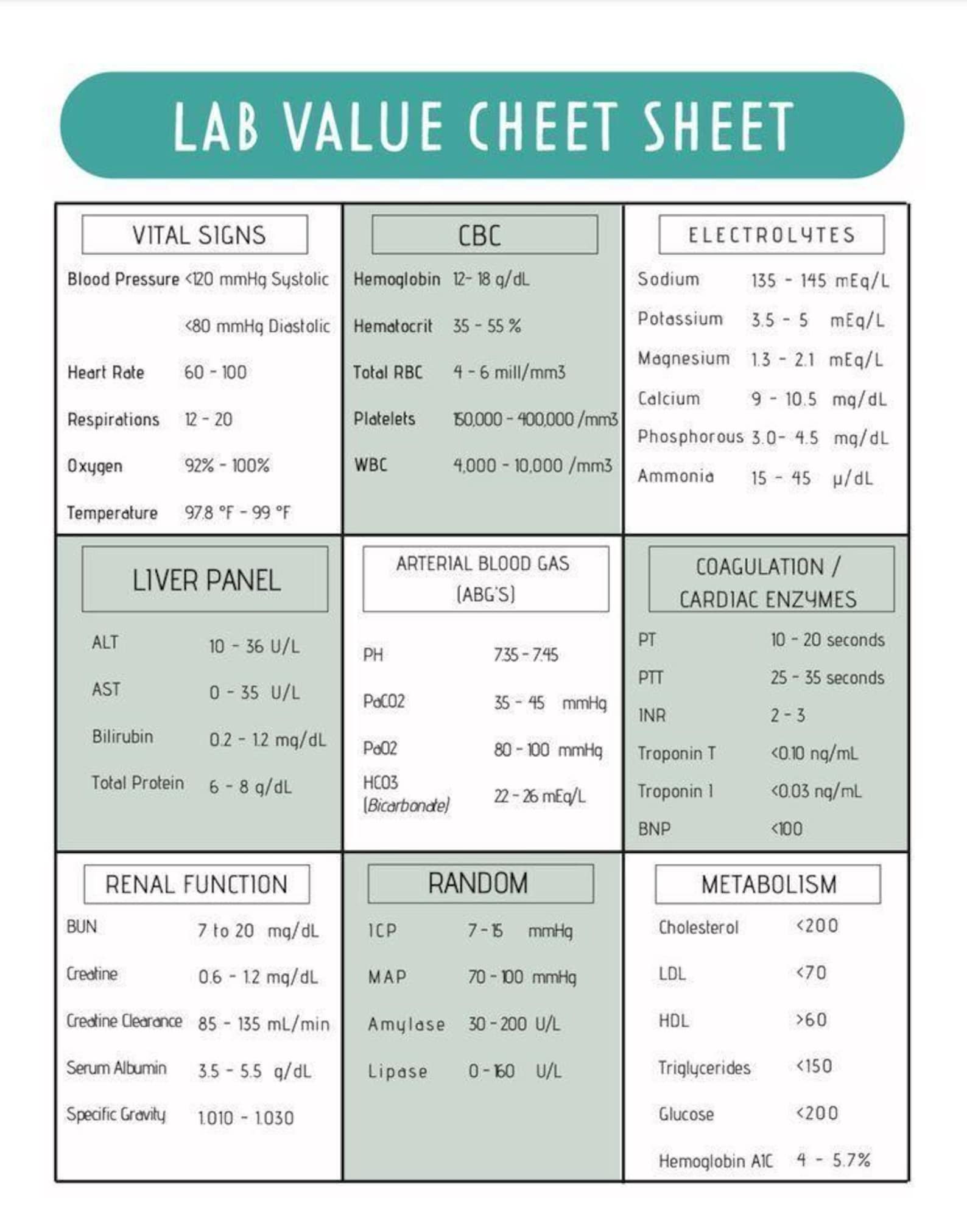 Nursing Cheat Sheets PDF - Etsy