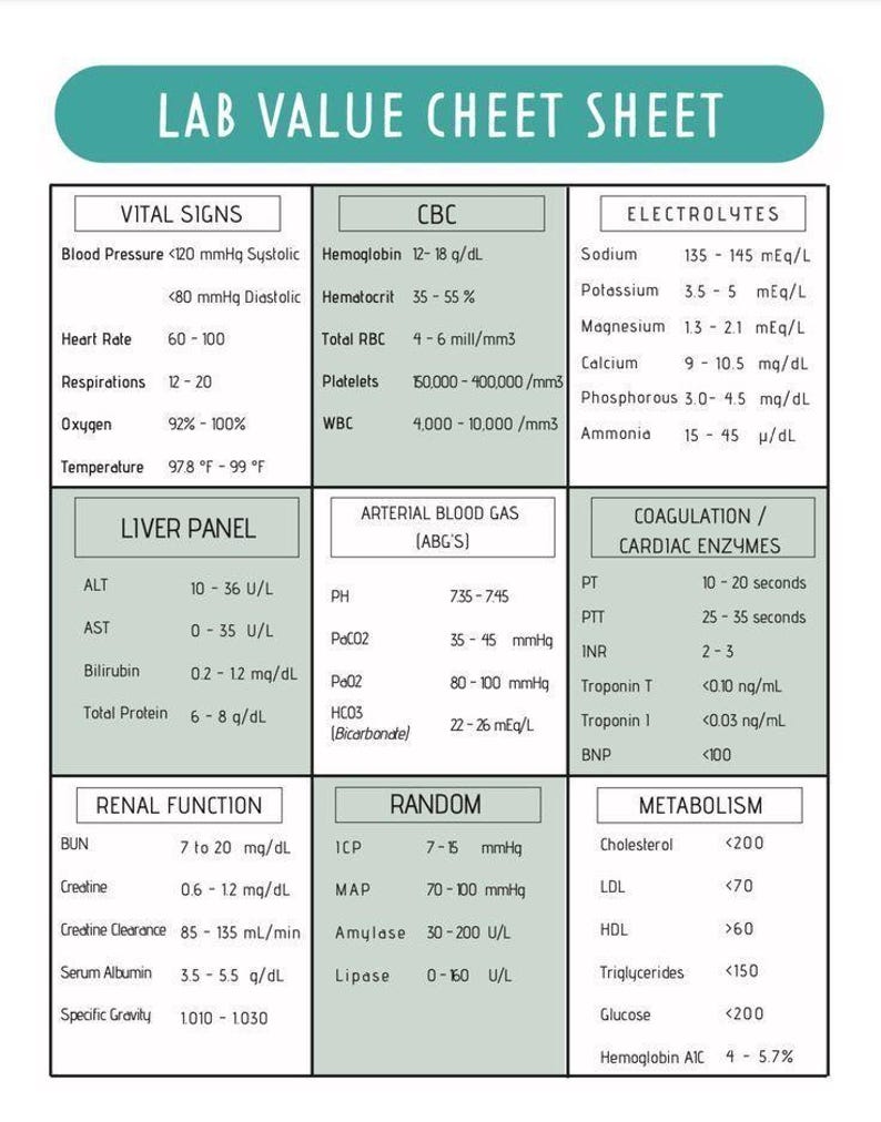 Nursing Cheat Sheets PDF - Etsy
