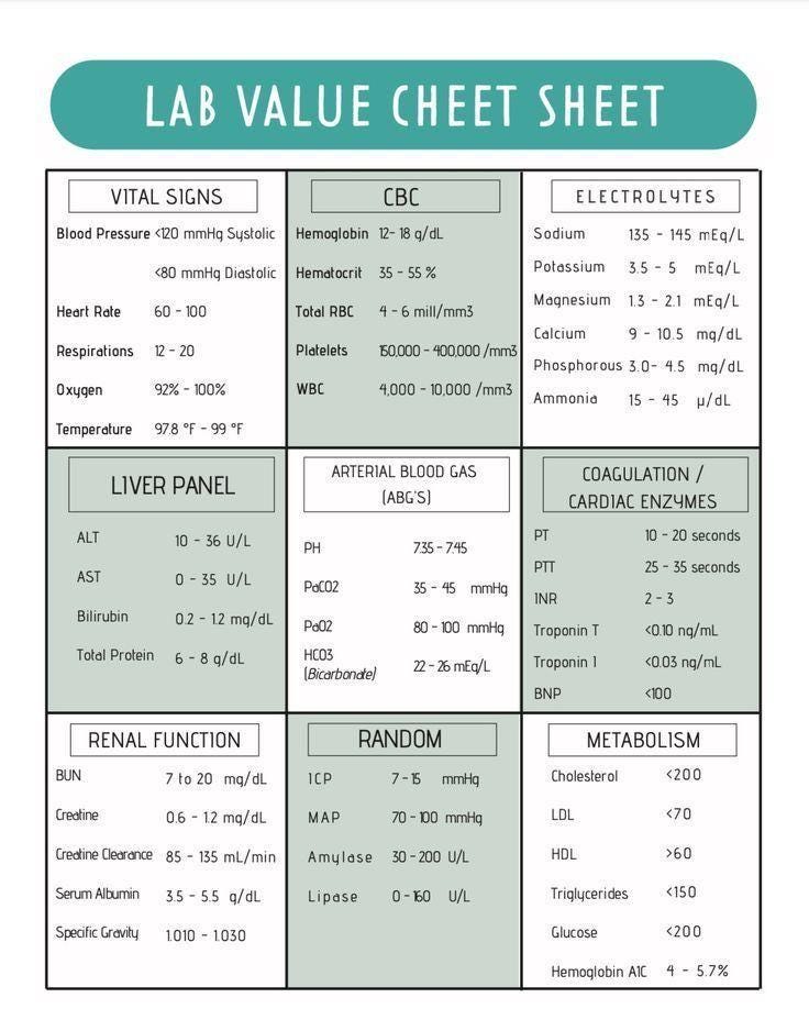 Nursing Cheat Sheets PDF - Etsy