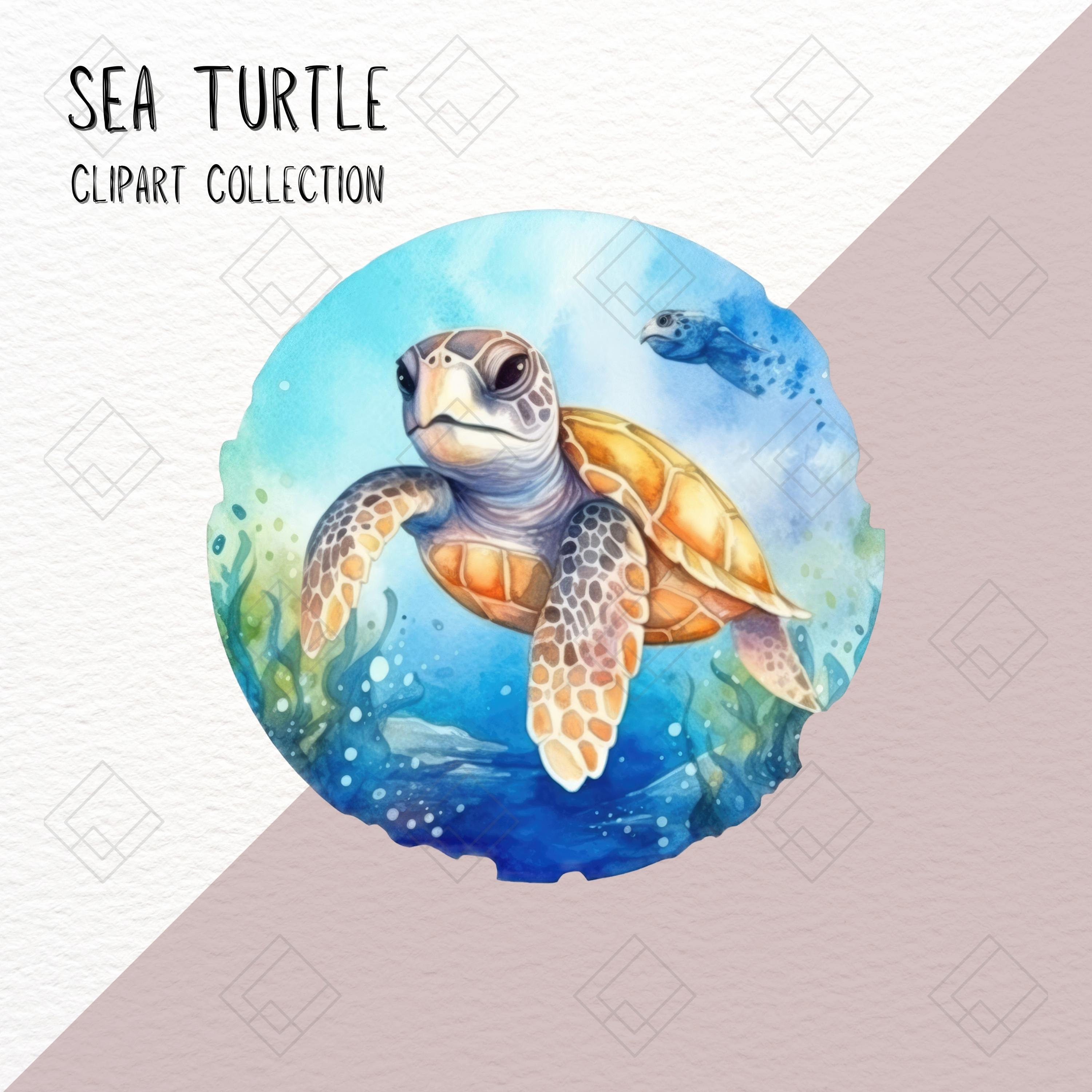 Sea Turtle PNG INSTANT DOWNLOAD Turtle Watercolor Clipart Png Files for ...