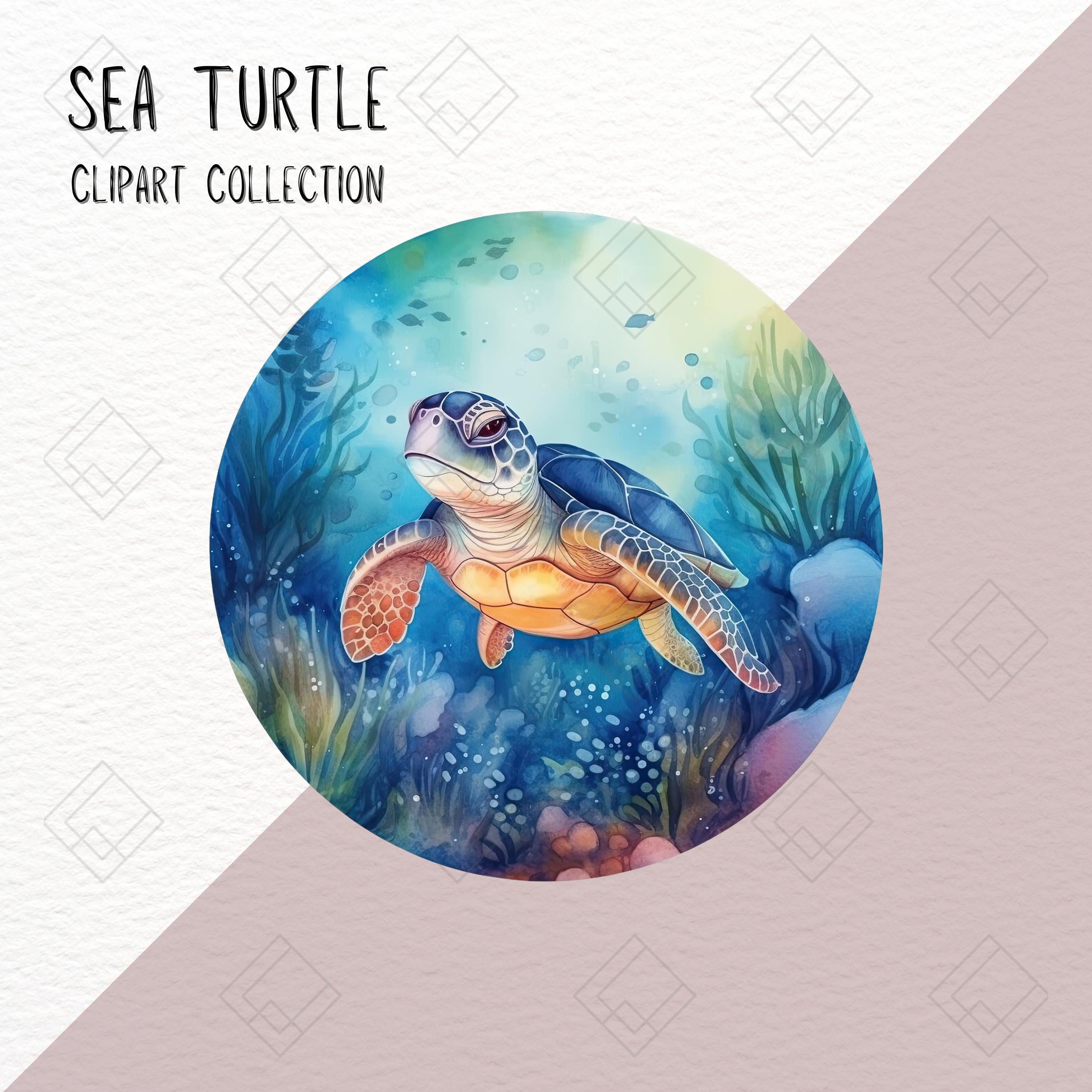 Sea Turtle PNG INSTANT DOWNLOAD Turtle Watercolor Clipart Png Files for ...