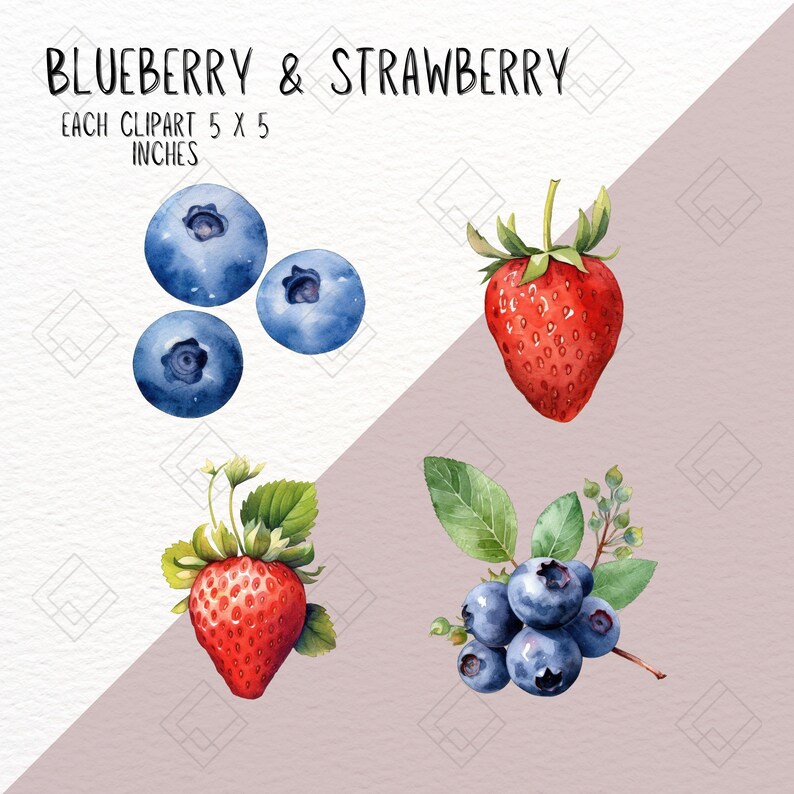 Berry Clipart INSTANT DOWNLOAD Watercolor Clipart Bundle - Etsy