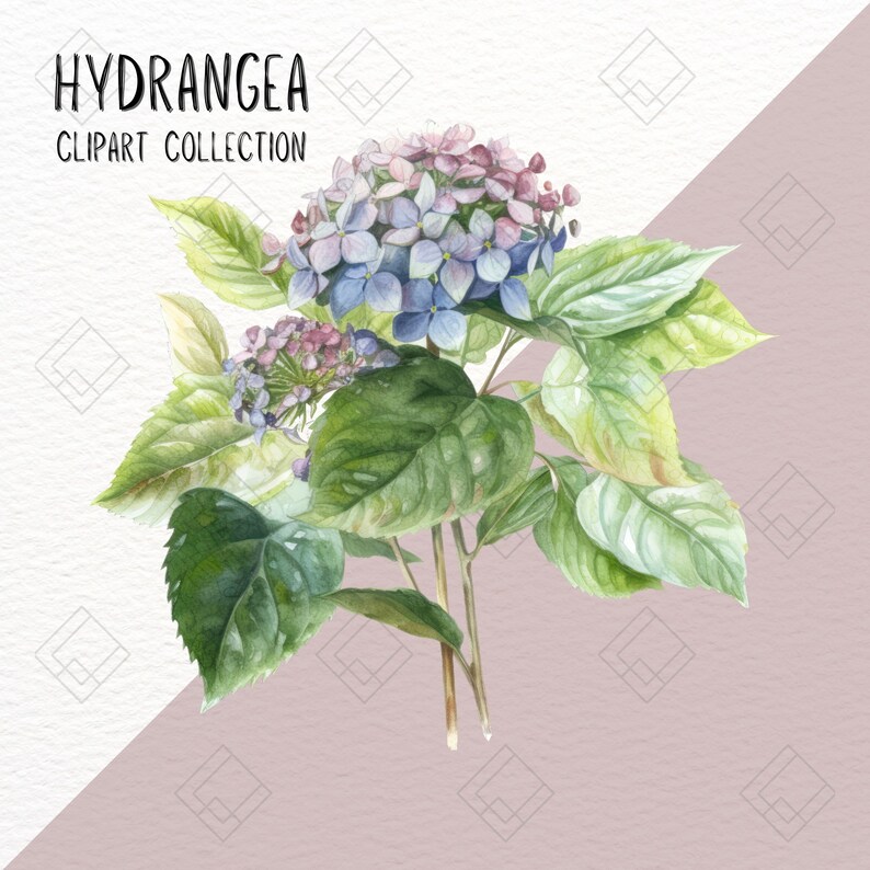 Hydrangea Clipart INSTANT DOWNLOAD Watercolor Hydrangea - Etsy