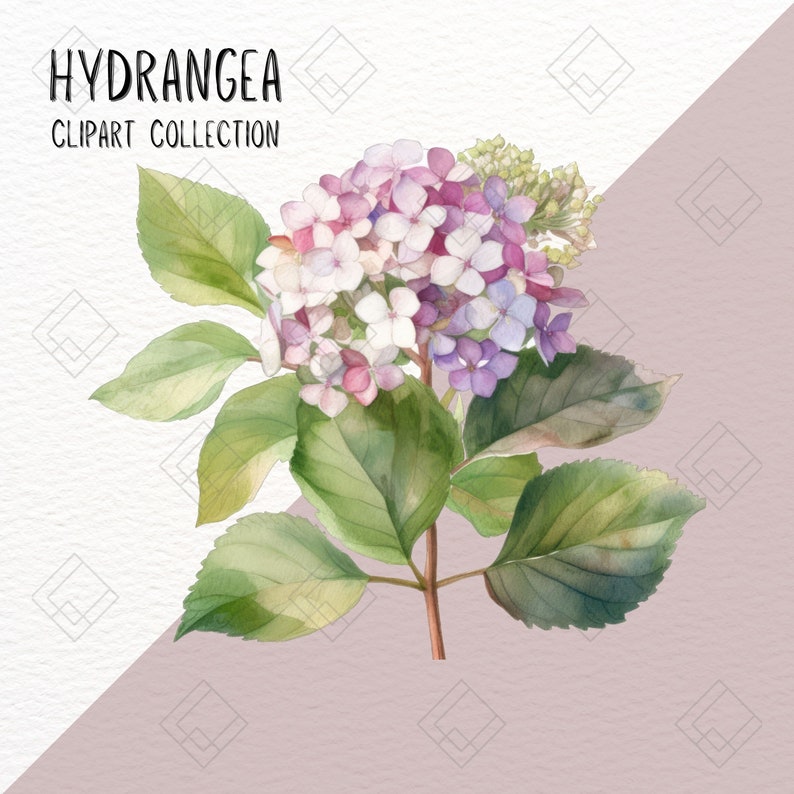 Hydrangea Clipart INSTANT DOWNLOAD Watercolor Hydrangea - Etsy