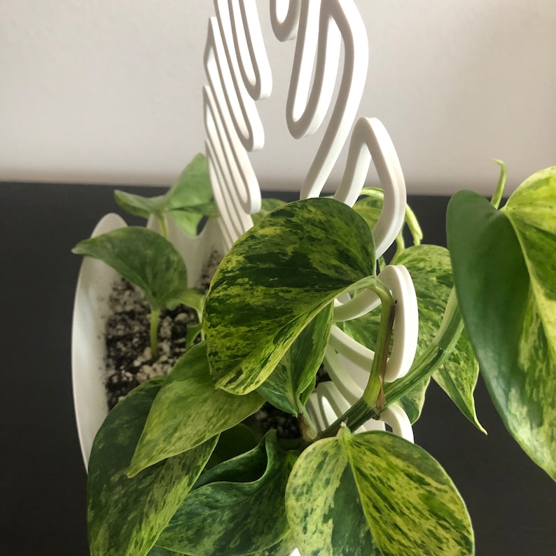 3D Print File STL Trellis Plant Indoor Plant Support - Etsy