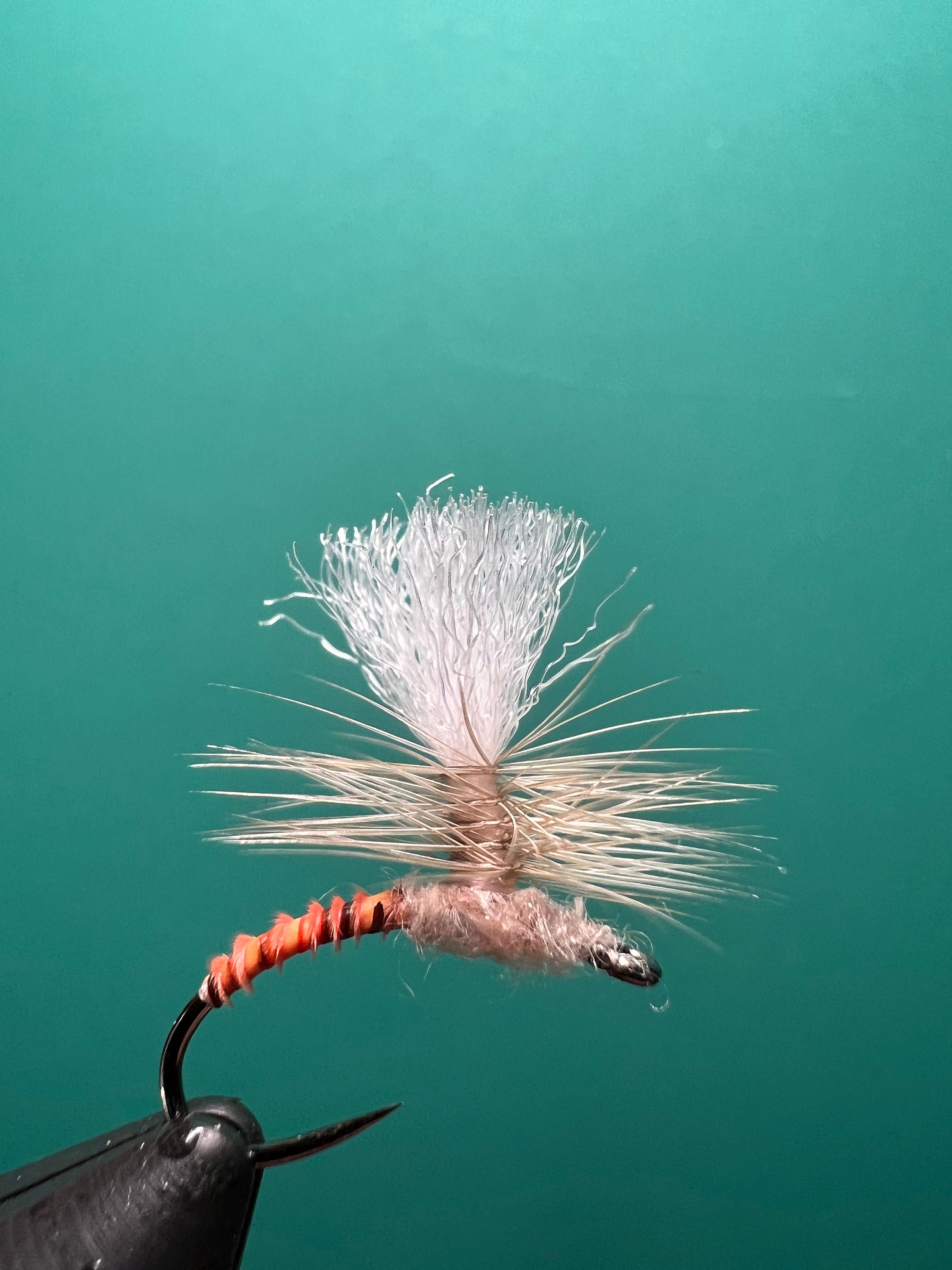 Klinkhammer - Pink Albert - Etsy