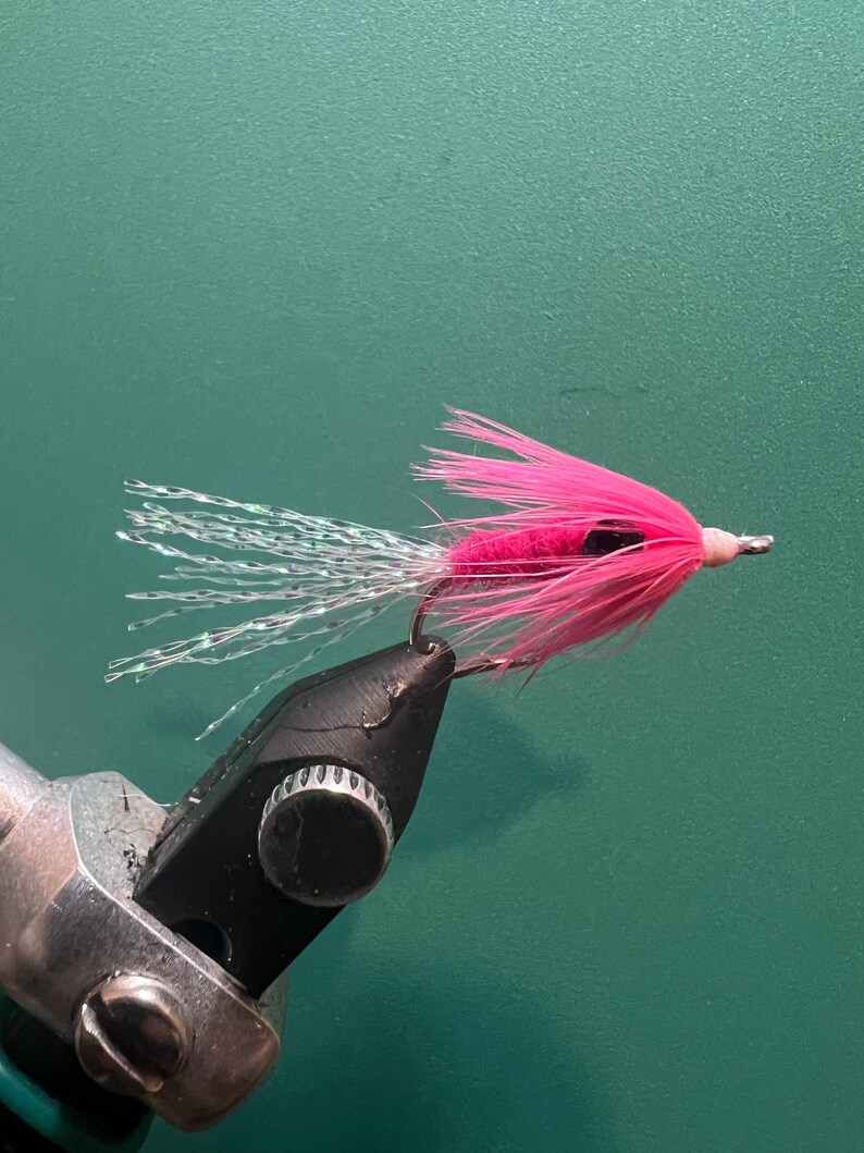 Little Shrimp - Pink - Etsy