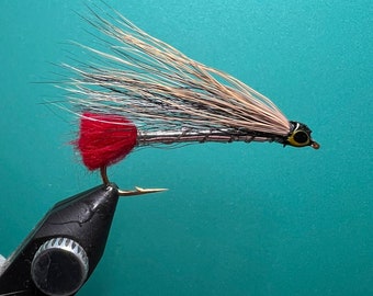 Black Nose Dace Fly - Etsy