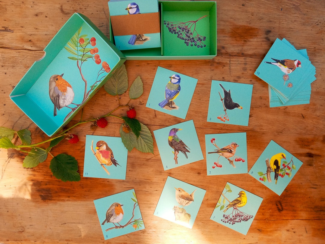Native Birds Memory Game, With Watercolor, Pen and Ink Drawings - Etsy